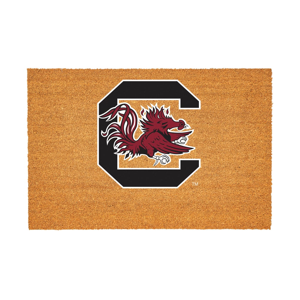 South Carolina Gamecocks 24