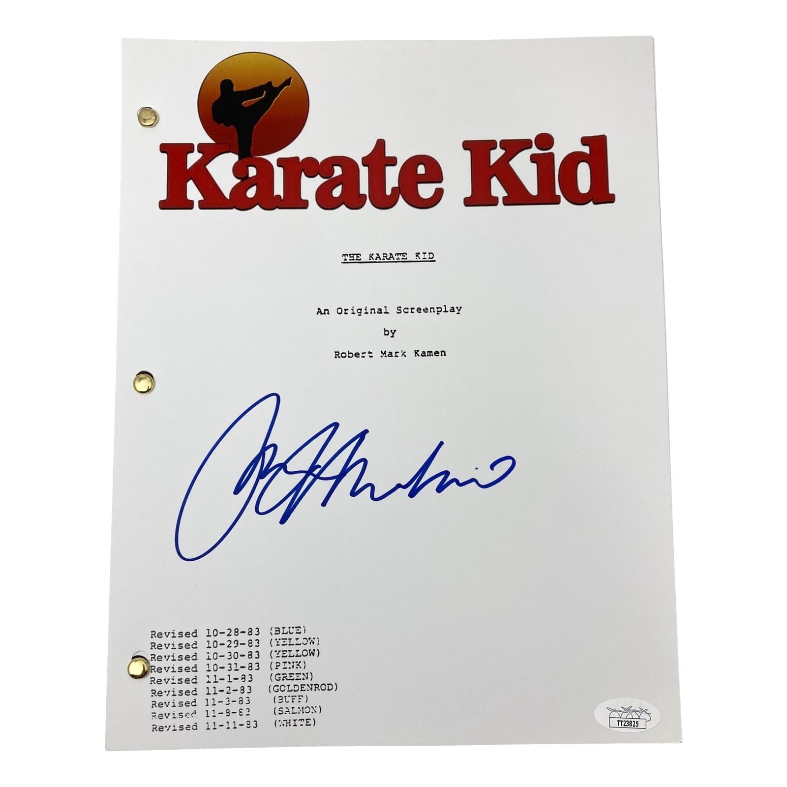 Karate Kid Movie Logo